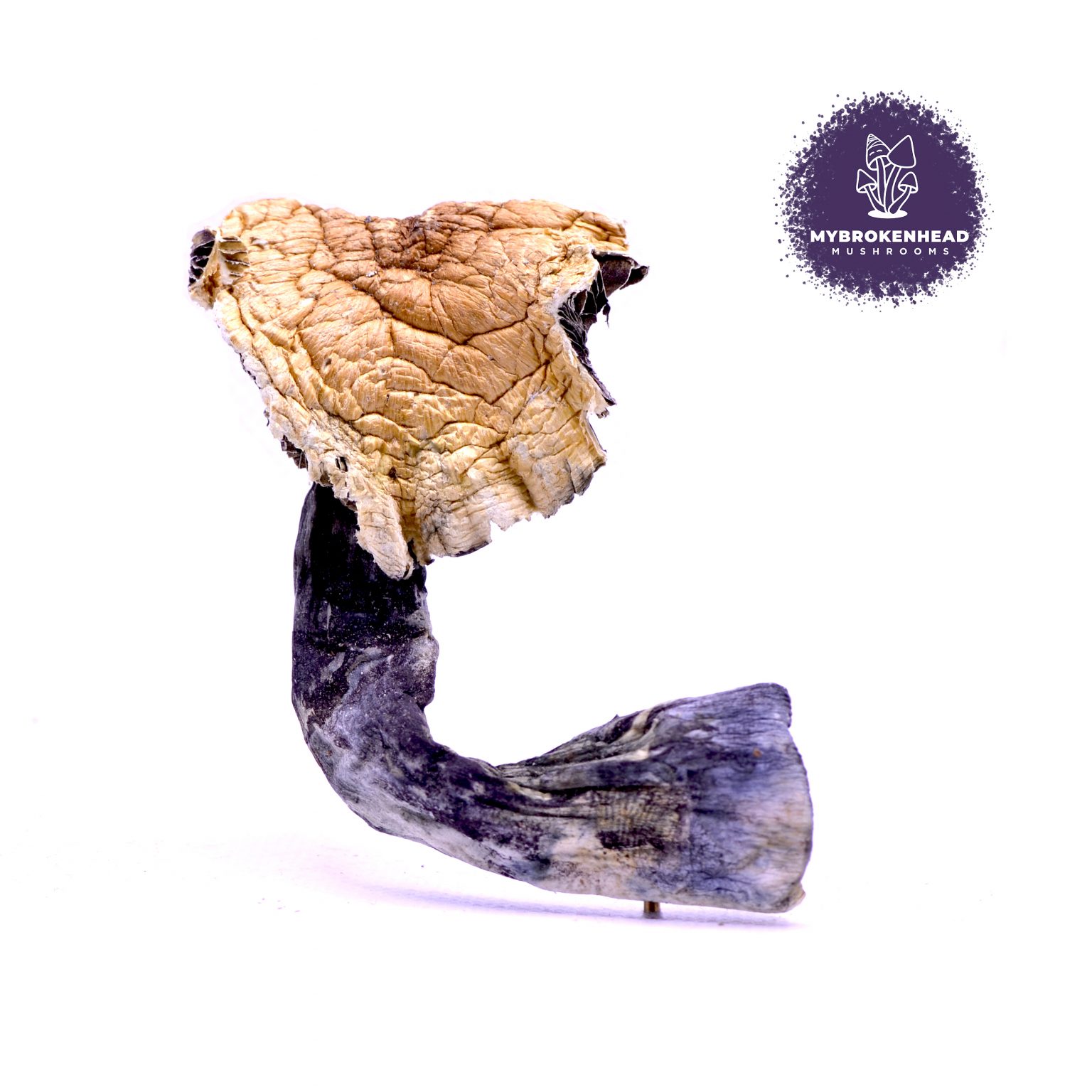 Blue Meanies | MYBROKENHEAD